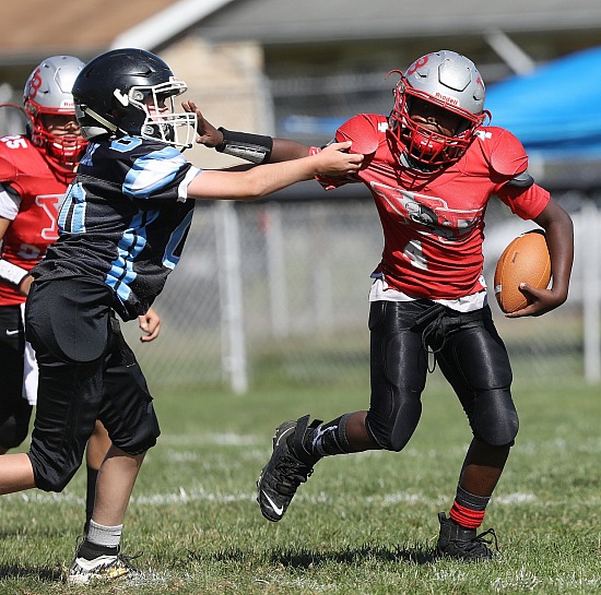 View Photos - Buckeye Local - Football - Action Images Photography